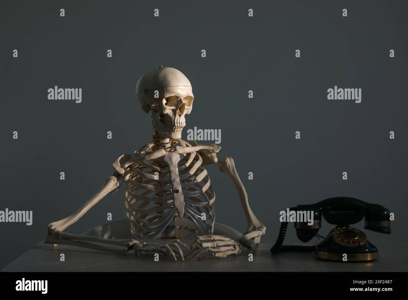 Waiting concept. Human skeleton at table with corded telephone against ...
