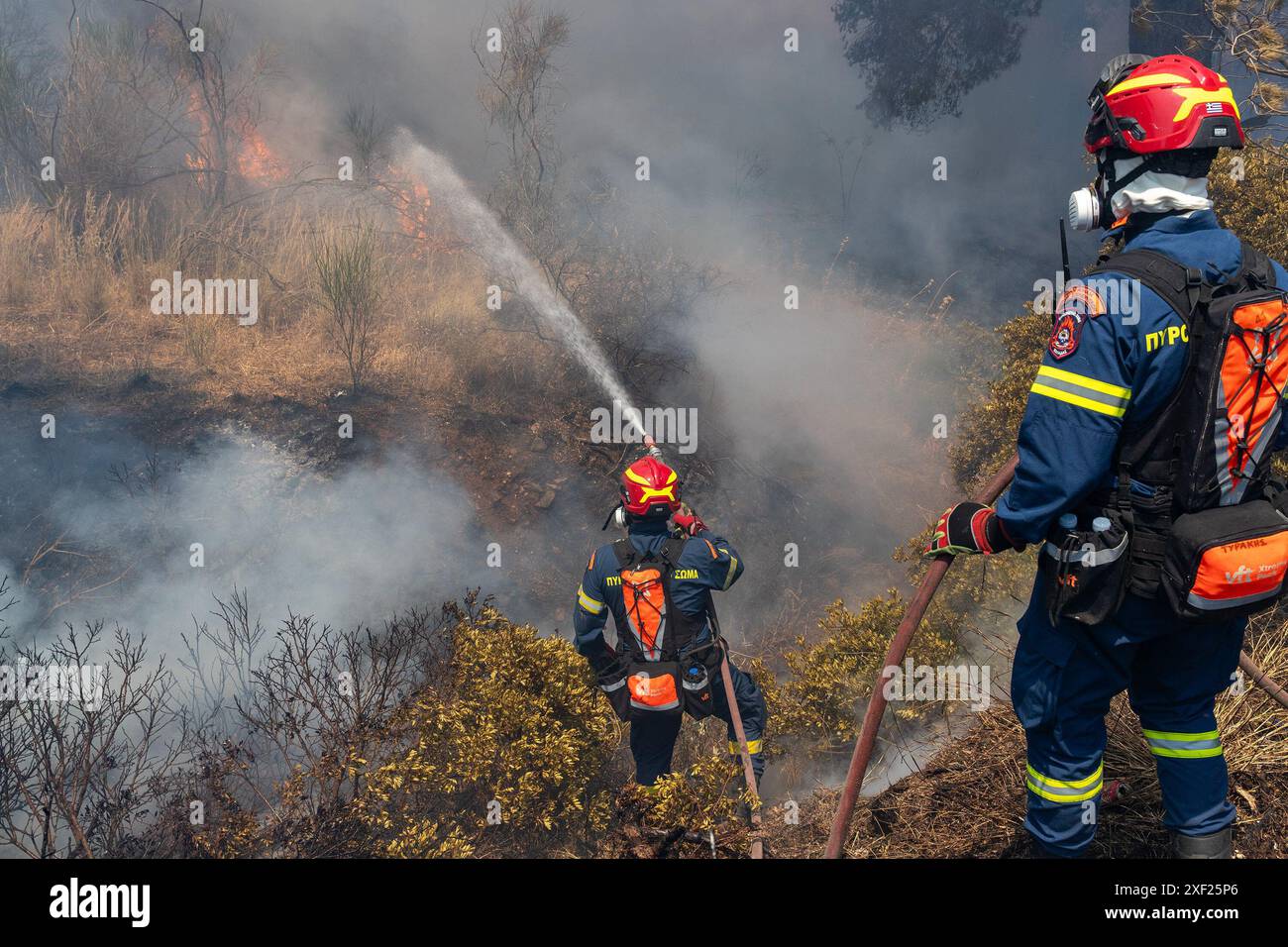 Athens, Greece. 30th June, 2024. Firefighters try to put out a fire in ...