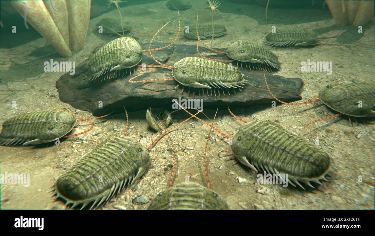 An illustration of a group of extinct Trilobites scavenging on a ...
