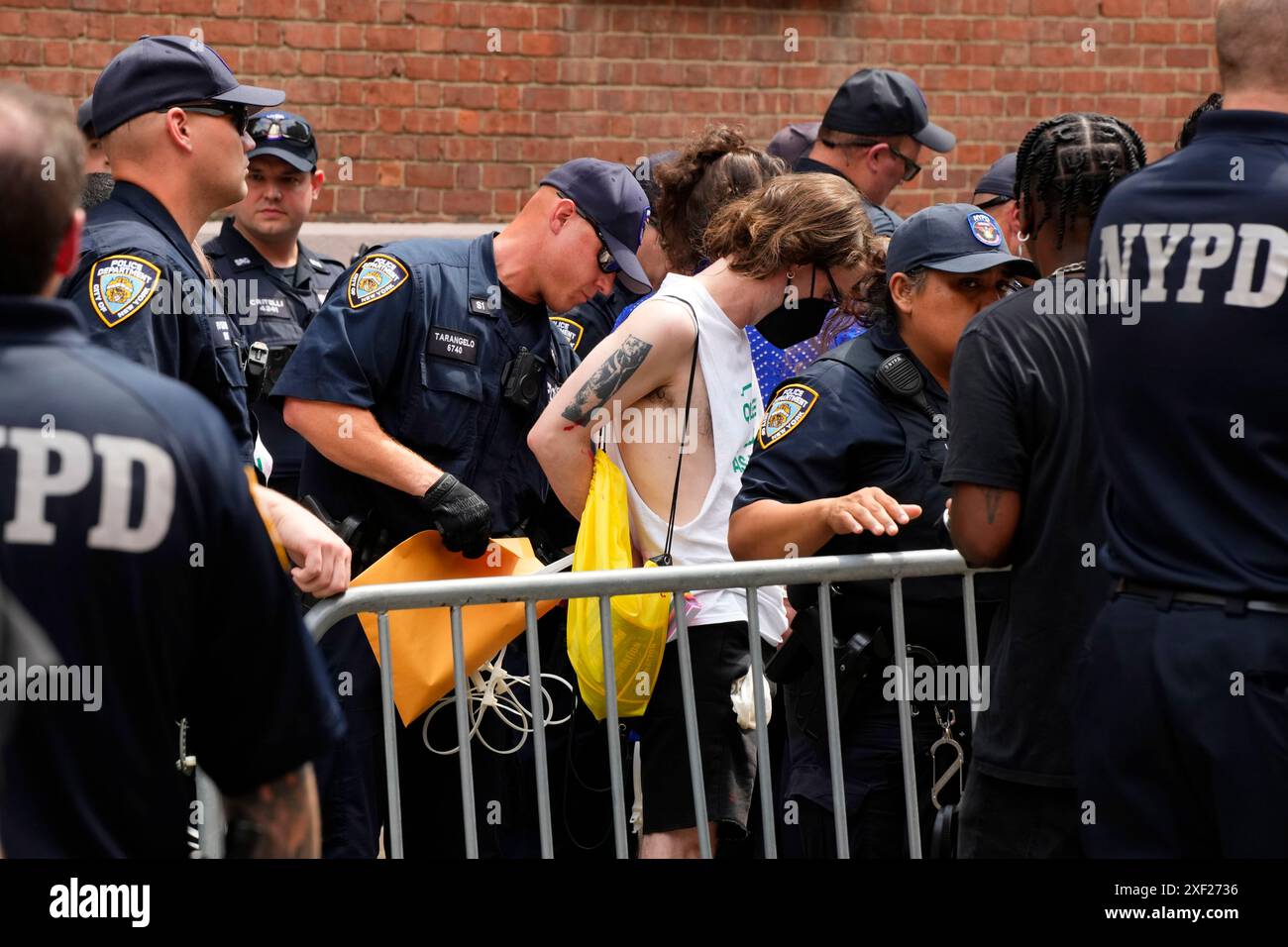 Police arrest a pro-Palestinian protestor for blocking the parade route ...