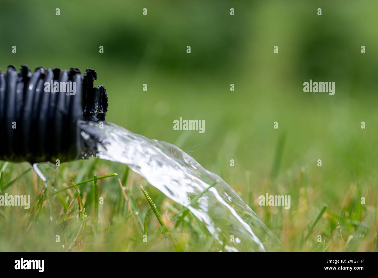 Residential sump pump drain line discharging water into grass yard ...