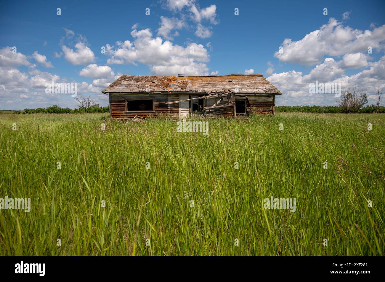 Hanna alberta hi-res stock photography and images - Alamy