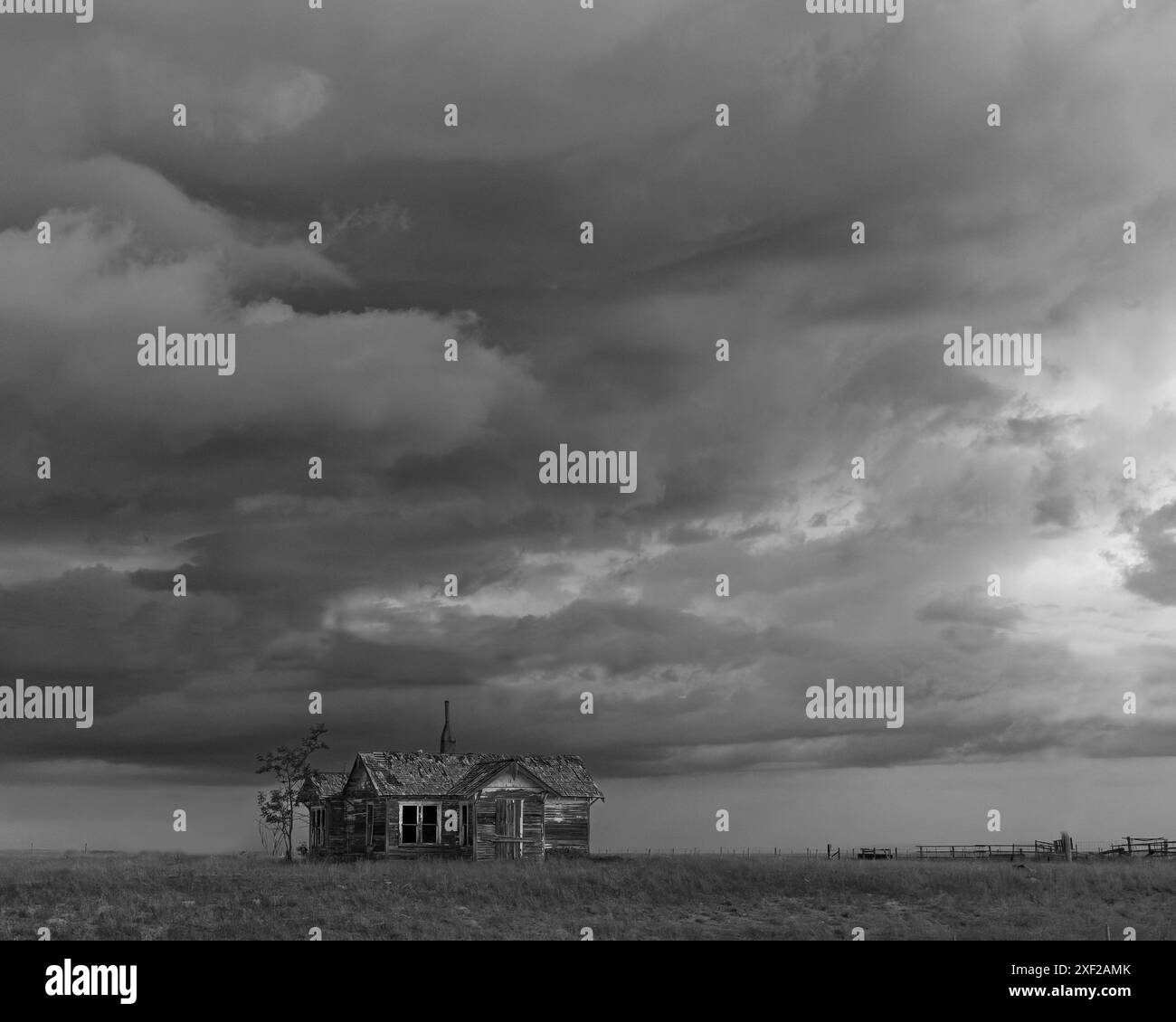 Abandoned homestead stands hi-res stock photography and images - Alamy