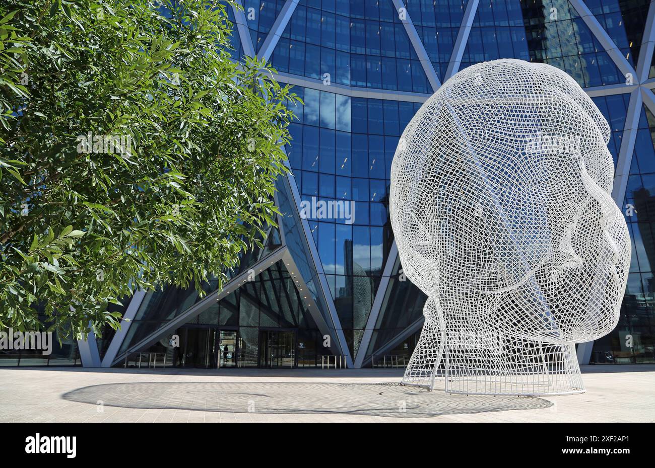 Tree and Wonderland - Calgary, Alberta, Canada Stock Photo - Alamy