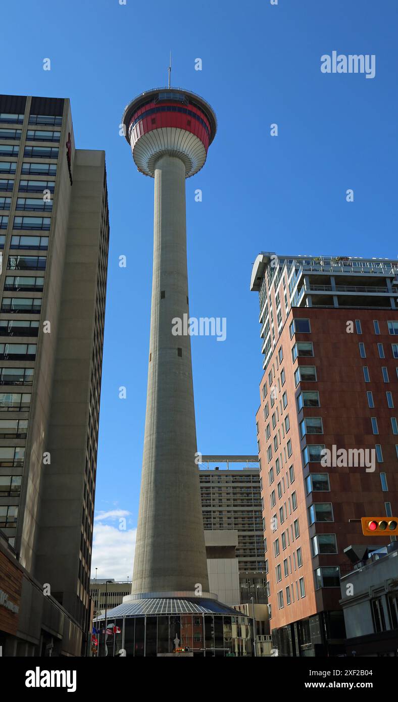 Calgary Tower between buildings vertical, Canada Stock Photo - Alamy