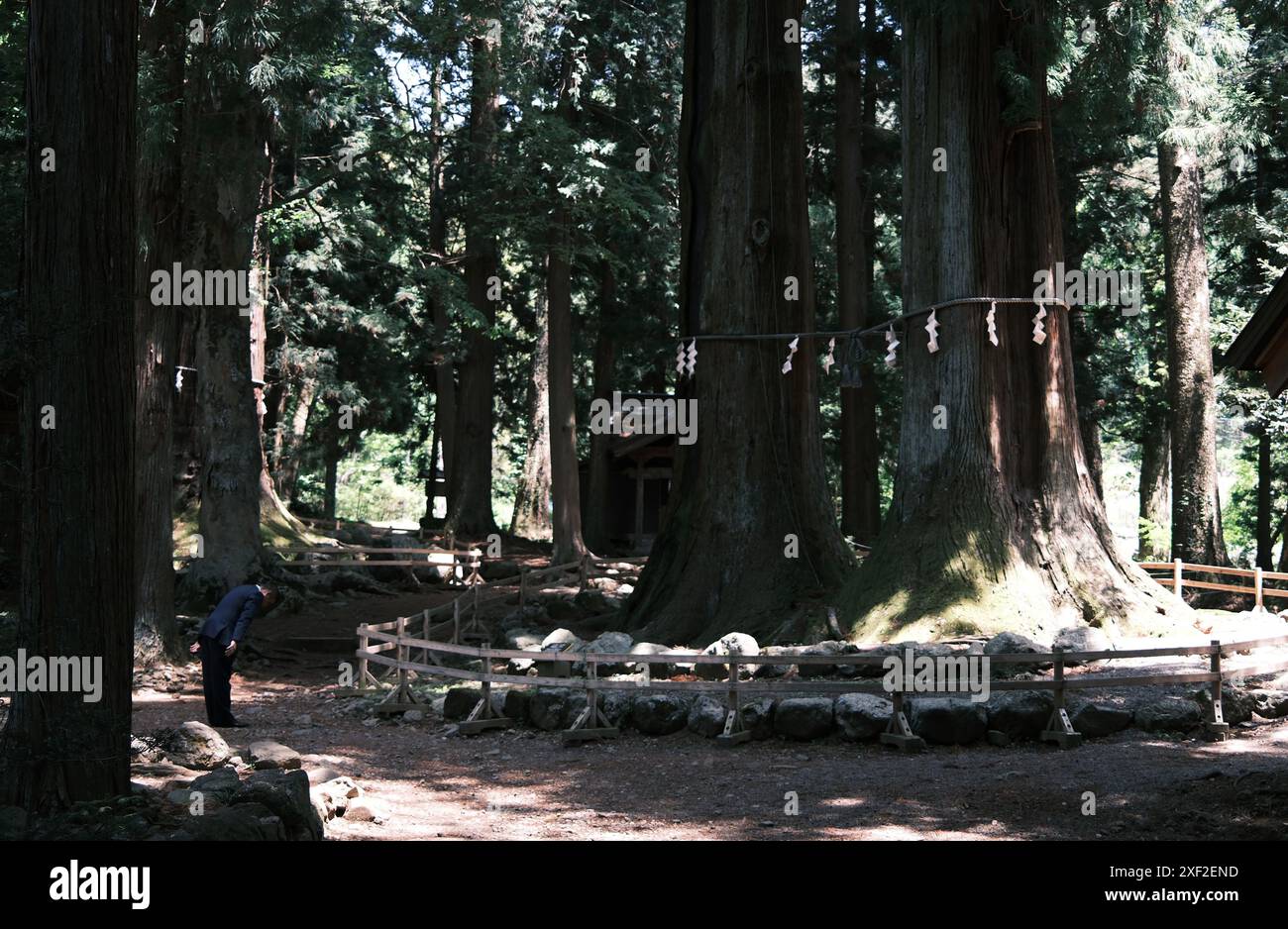 The decent of man hi-res stock photography and images - Alamy