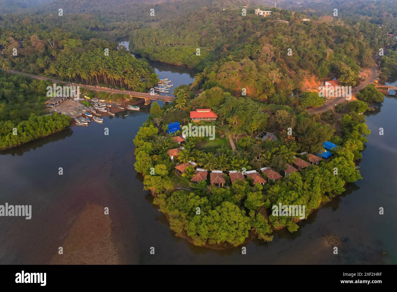 Aerial top view on tropical beach with green palm trees under sunlight ...