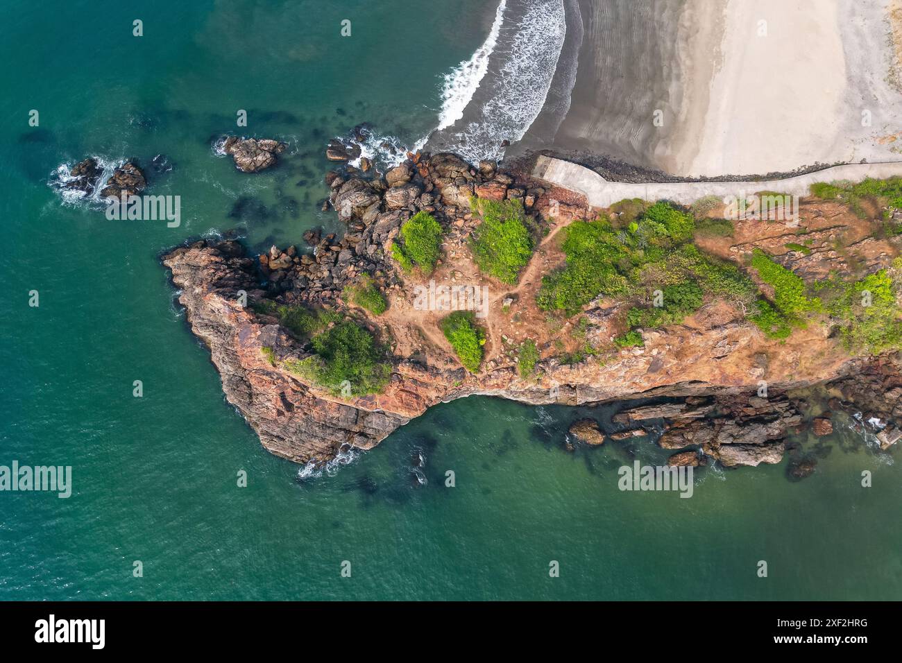 Aerial top view on tropical beach with green palm trees under sunlight ...