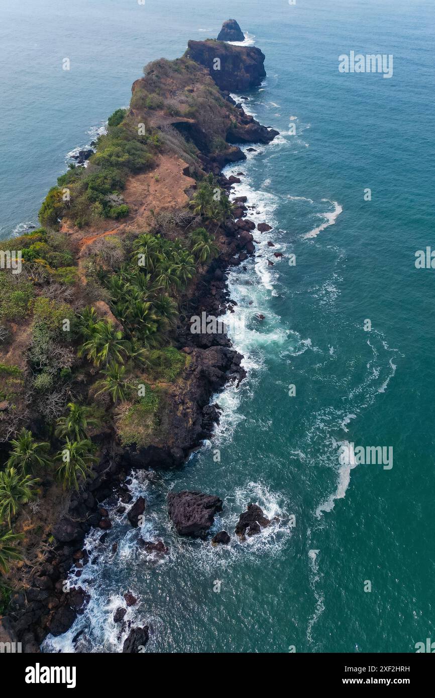 Aerial top view on tropical beach with green palm trees under sunlight ...