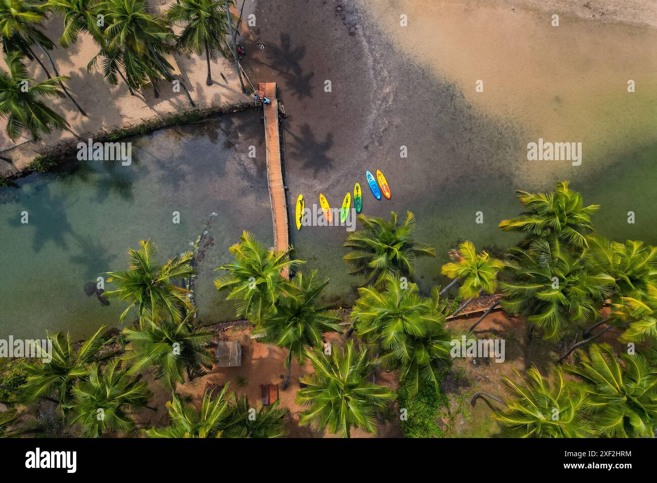 Aerial top view on tropical beach with green palm trees under sunlight ...