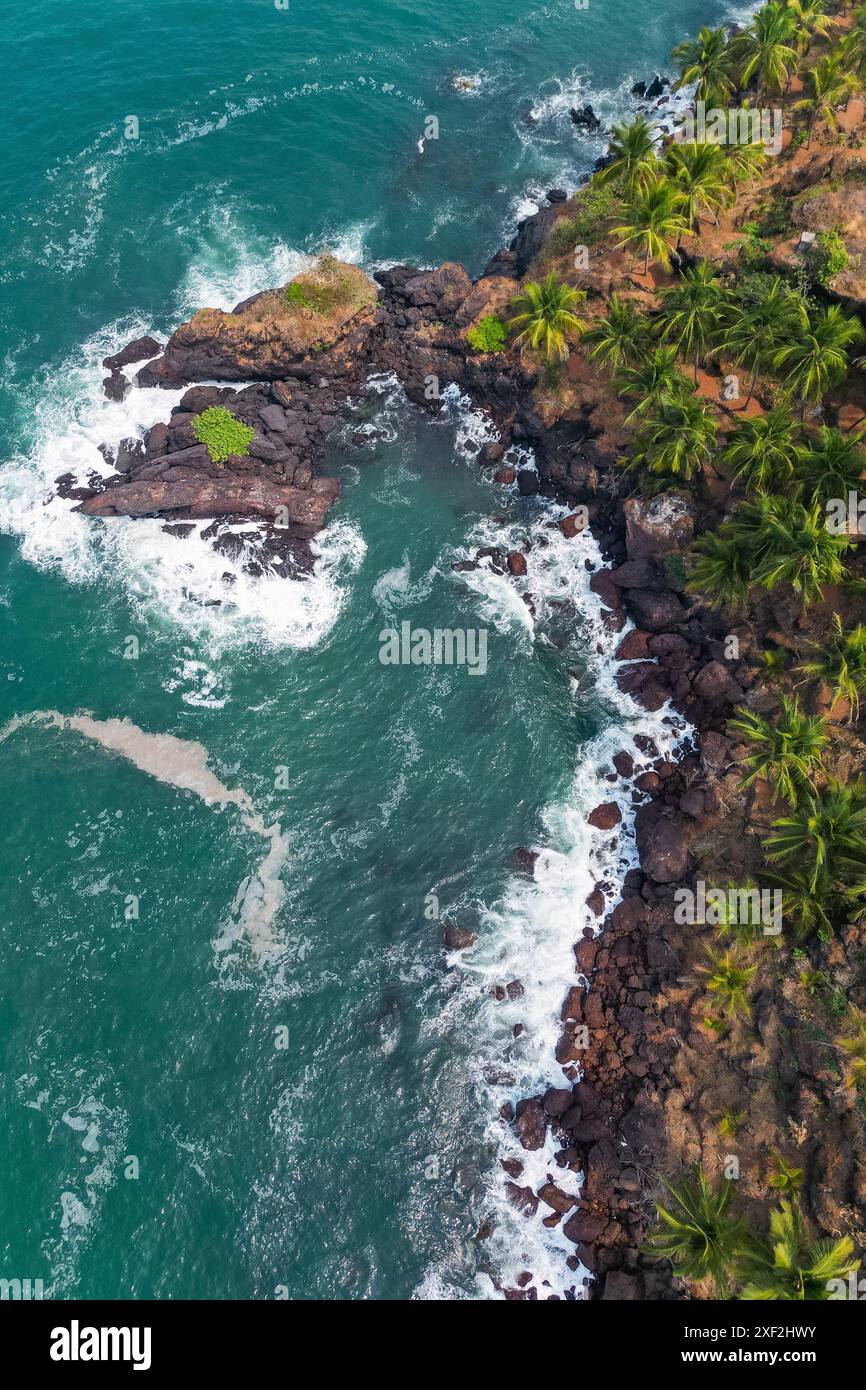 Aerial top view on tropical beach with green palm trees under sunlight ...