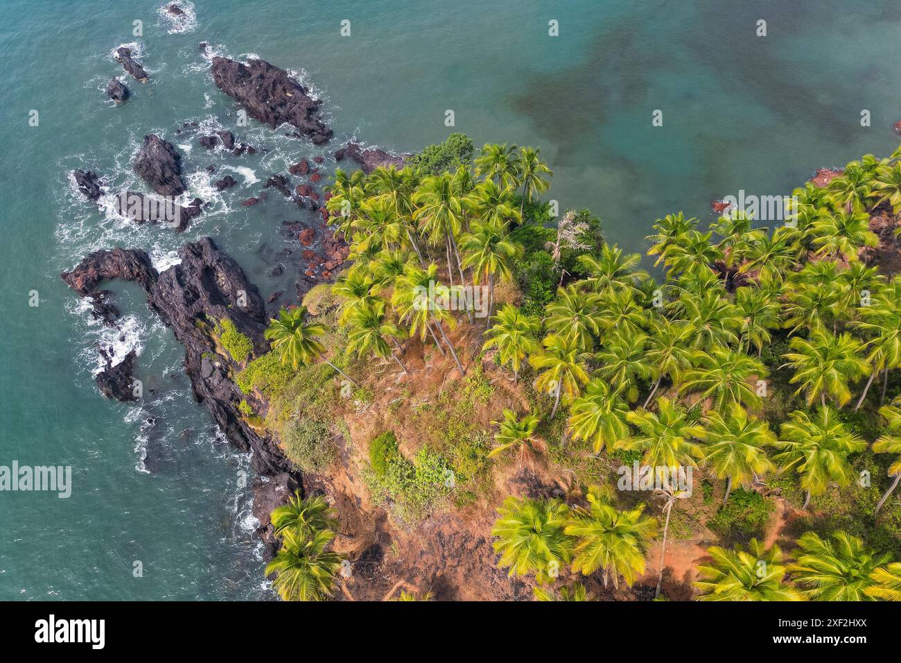 Aerial top view on tropical beach with green palm trees under sunlight ...