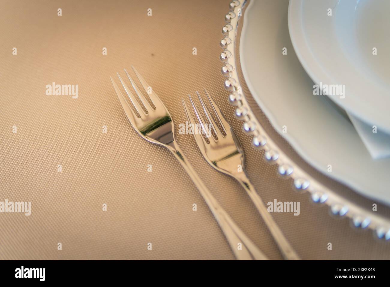 Empty Wedding Reception Table Setting With Forks and Plates Stock Photo ...