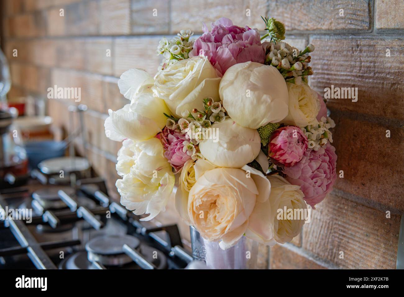 Countertop stove hi-res stock photography and images - Alamy