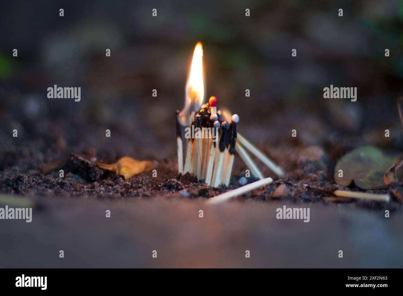 Mini Bonfire out the backyard with matches with bright flame and fire ...