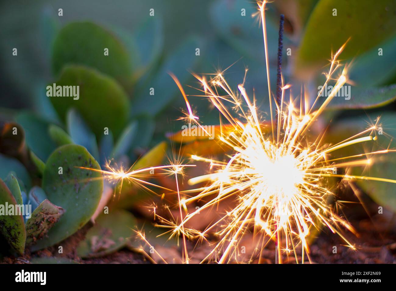 Firework sparkler burning night lights hi-res stock photography and ...