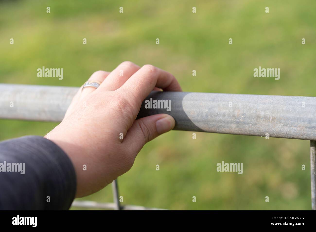 Man opening closing gate farm hi-res stock photography and images - Alamy