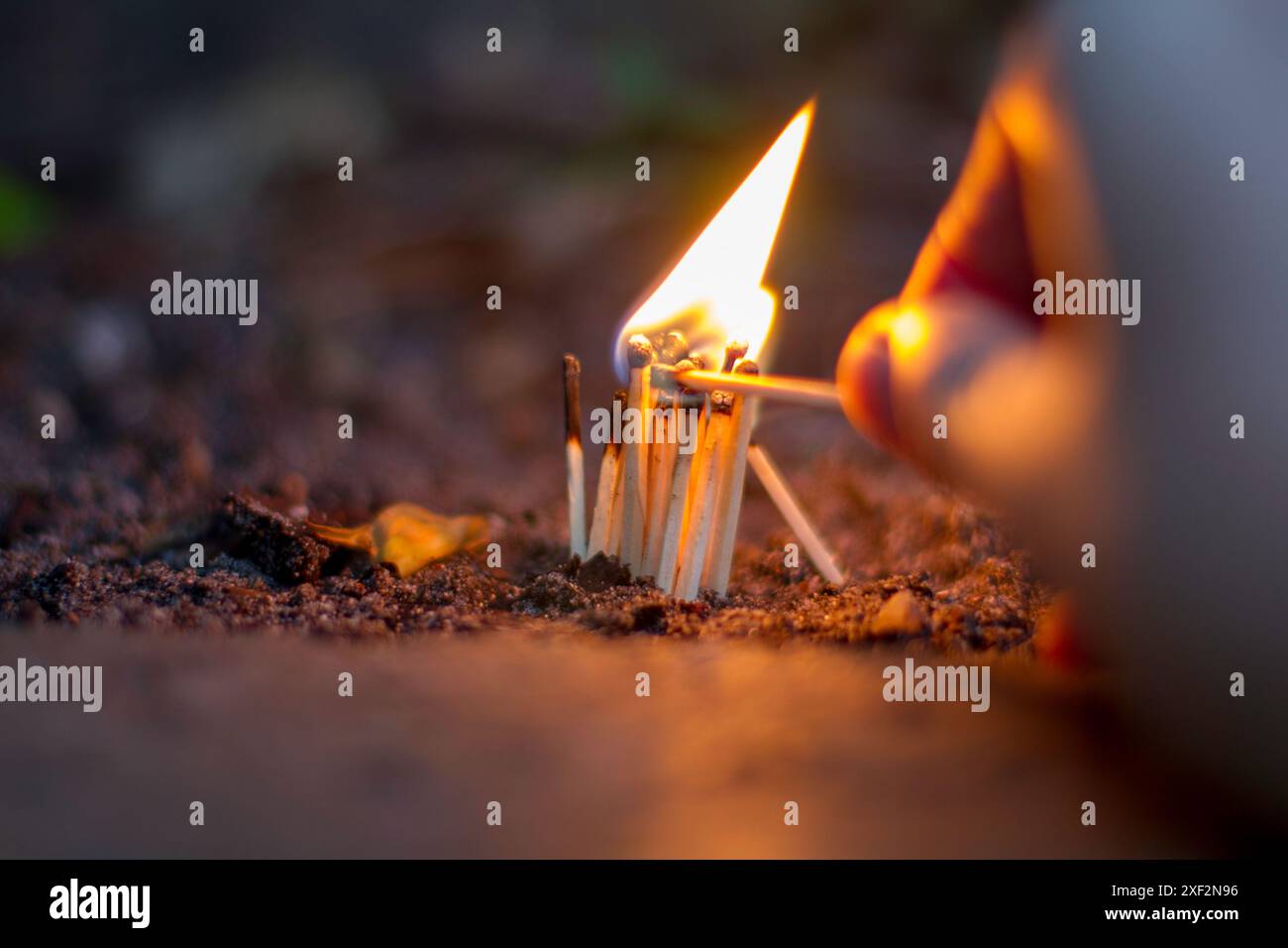 Mini Bonfire out the backyard with matches with bright flame and fire ...