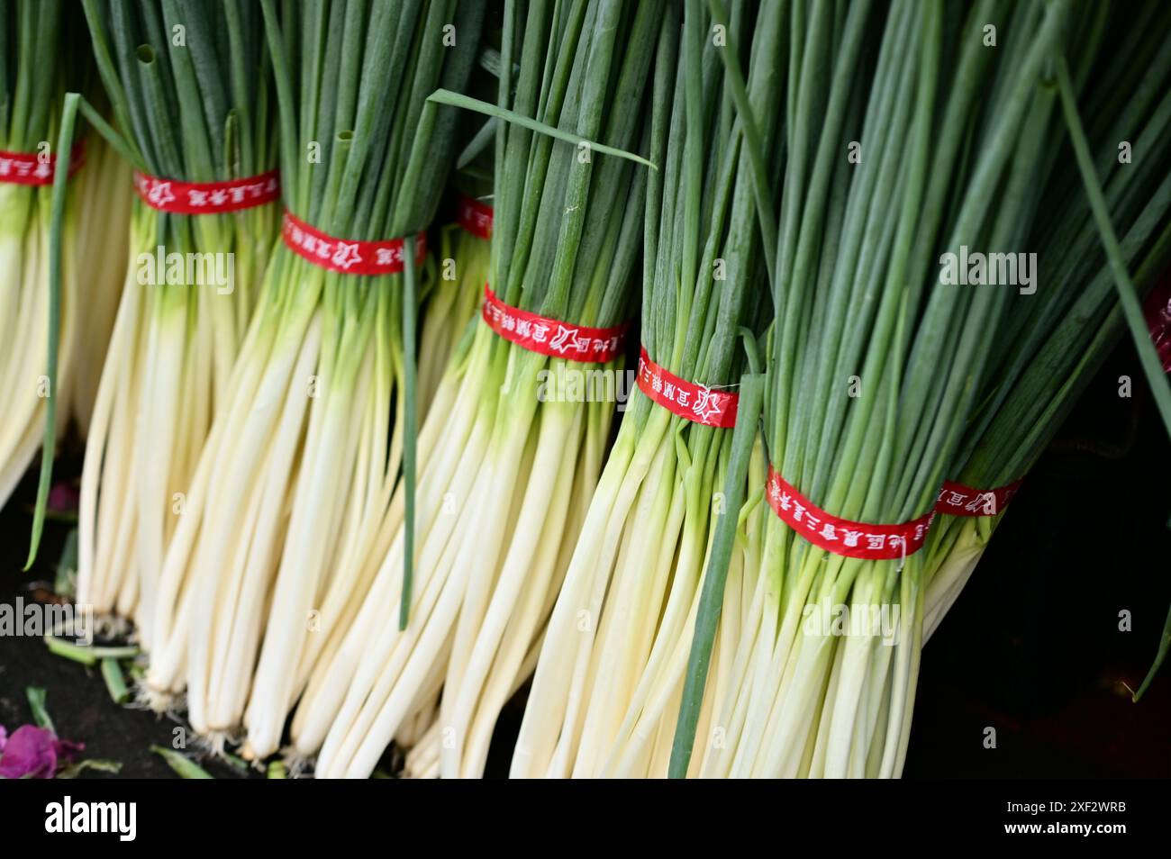 Scallion characteristics hi-res stock photography and images - Alamy