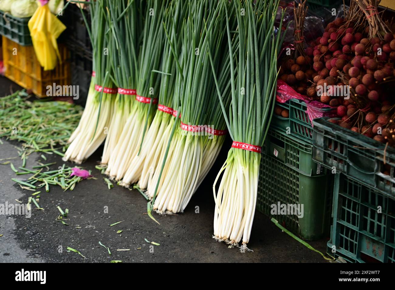 Taiwan-06.22.24: Sanxing scallion, renowned for its long white stalk ...