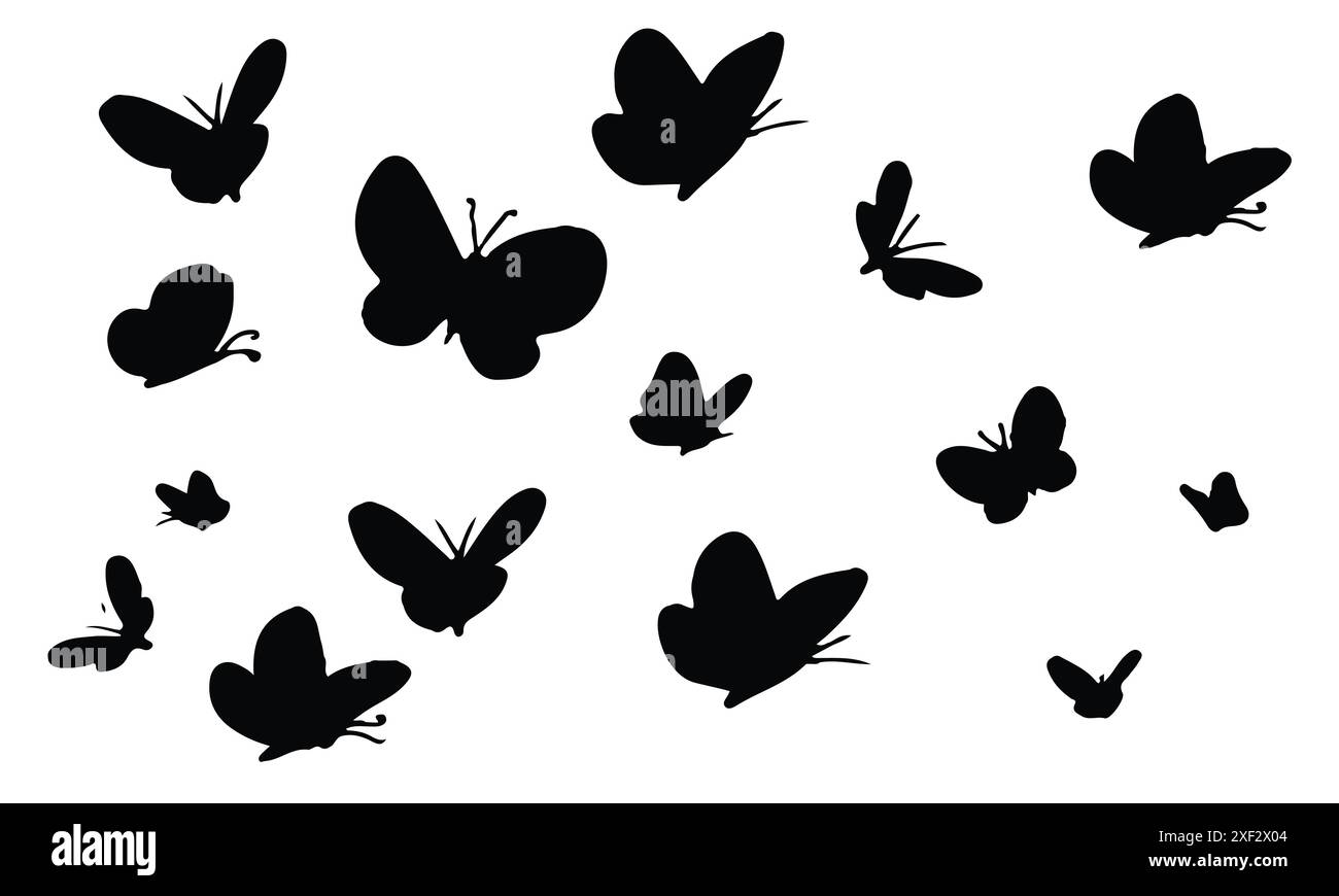 White butterfly silhouette hi-res stock photography and images - Alamy