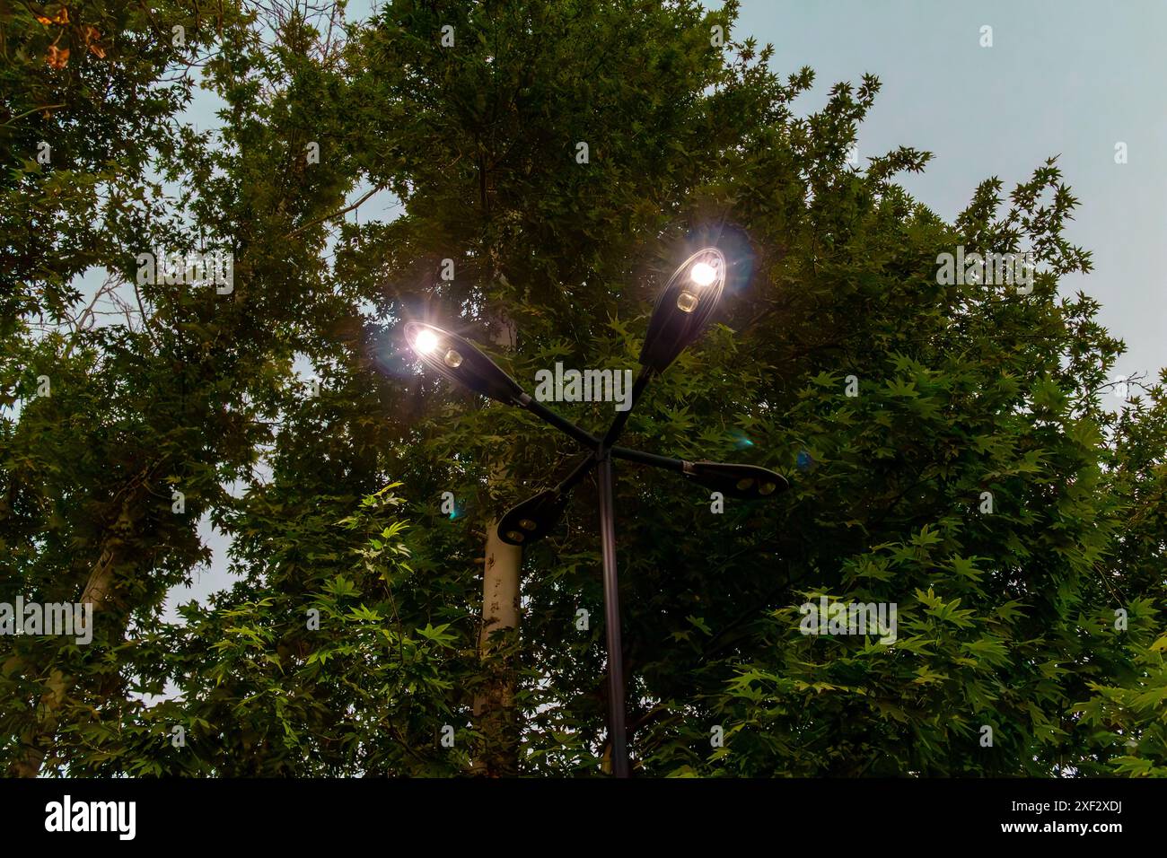 Lights street light hi-res stock photography and images - Alamy