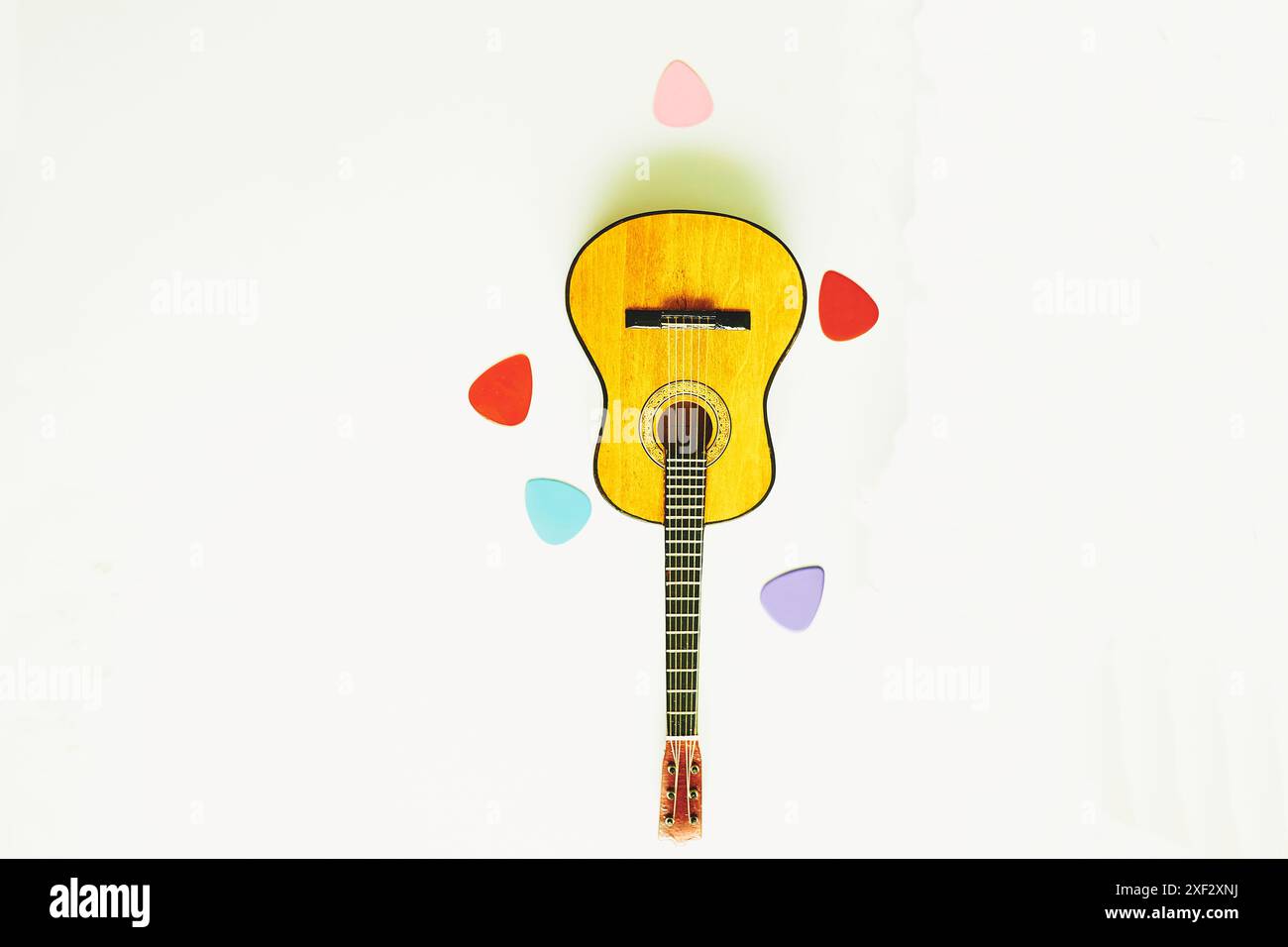 a stringed musical instrument, with a fretted fingerboard, typically ...