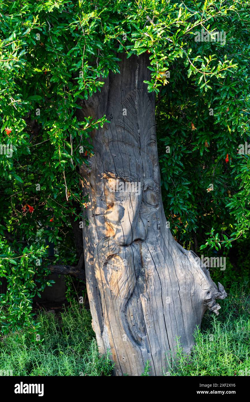 Tree trunk carving hi-res stock photography and images - Alamy