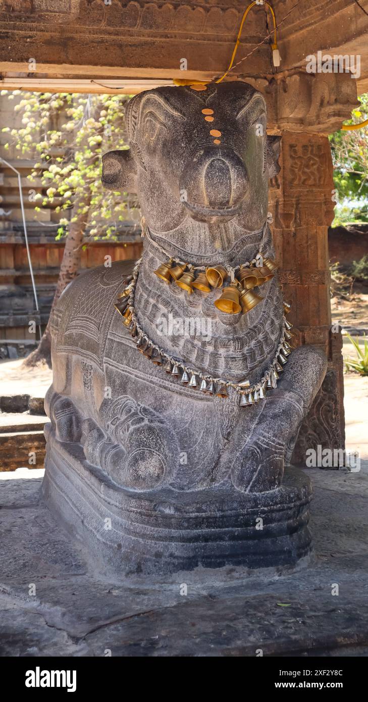 Beautifully carved statue of Nandi outside Vimahav Maharaja Sri ...