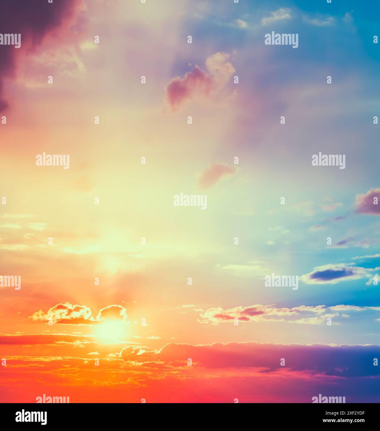 Tropical backdrop on sun hi-res stock photography and images - Alamy