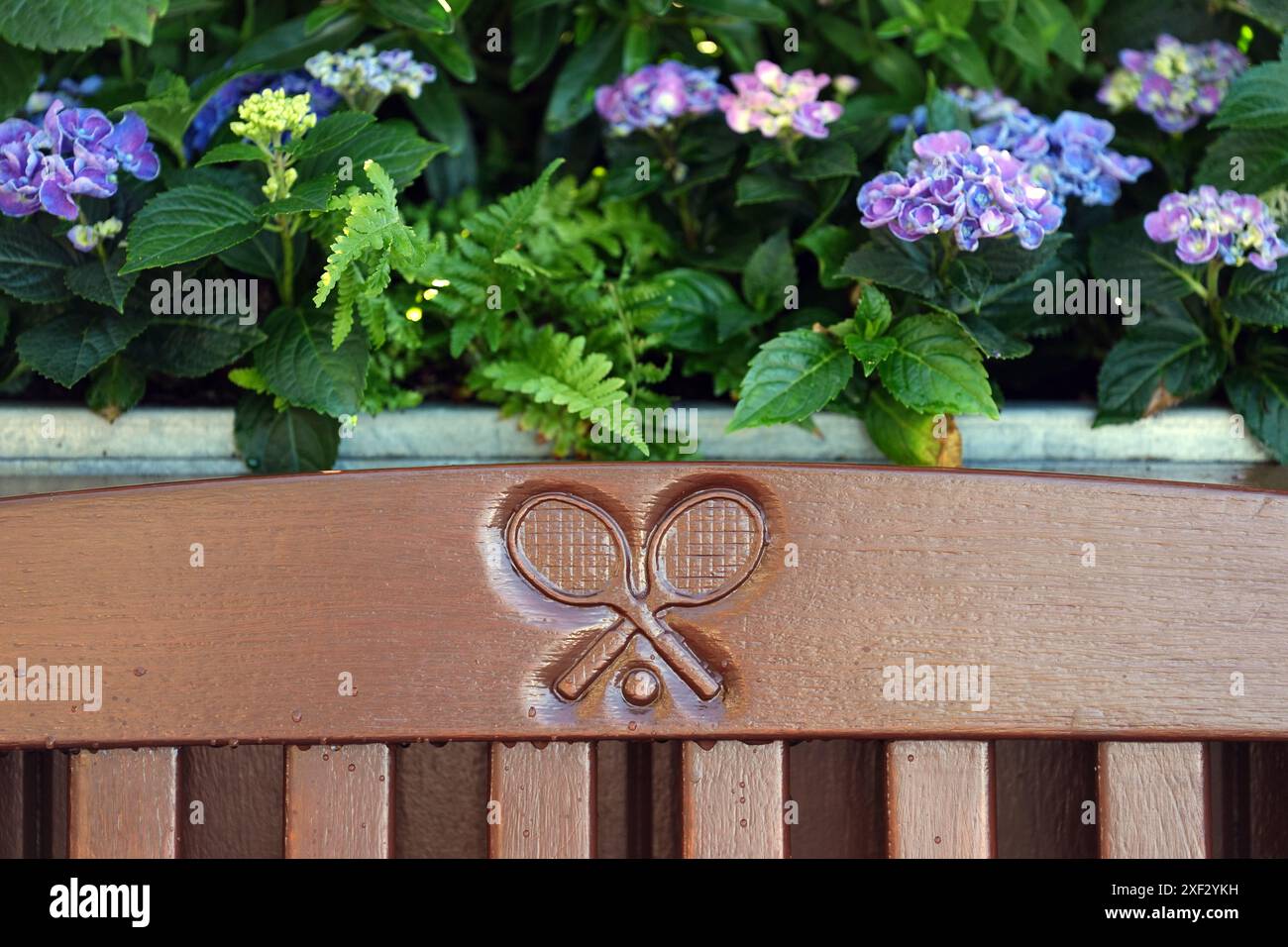 A general view of a bench on day one of the 2024 Wimbledon ...