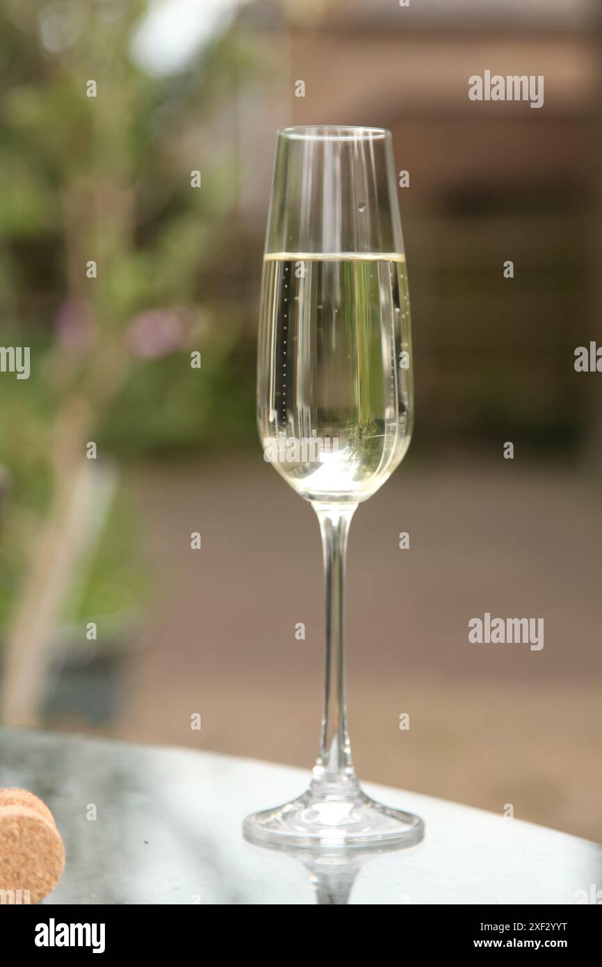A glass of Prosecco in the garden, England, UK Stock Photo - Alamy