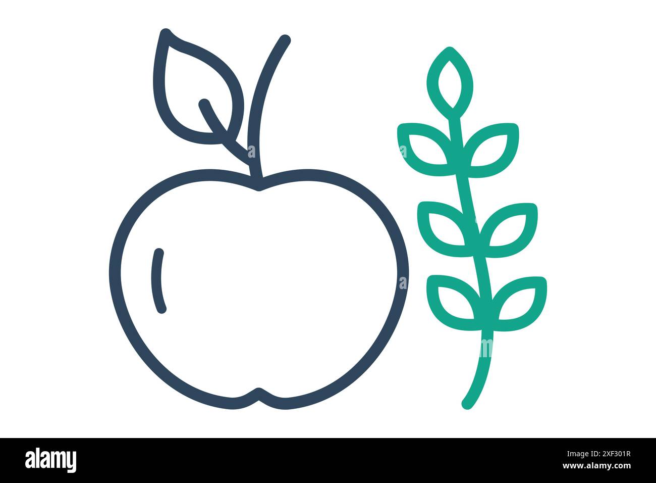 Nutrition icon. apple with wheat. icon related to track. line icon ...