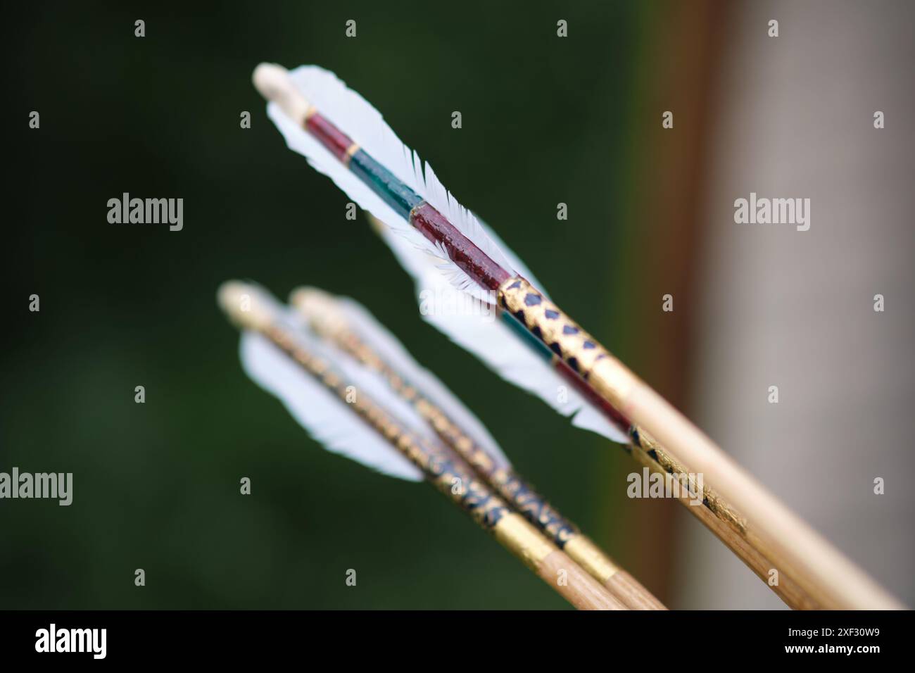 Arrow fletching hi-res stock photography and images - Alamy Arrow fletching hi-res stock photography and images - Alamy