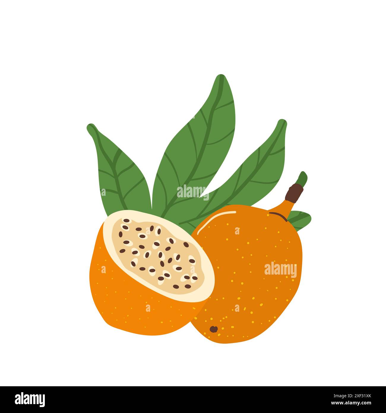 Sweet granadilla. Tropical half and whole fruit and leaves. Yellow ...