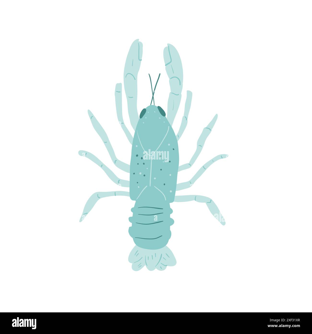 Crawfish isolated on white background. Marine animal and underwater ...