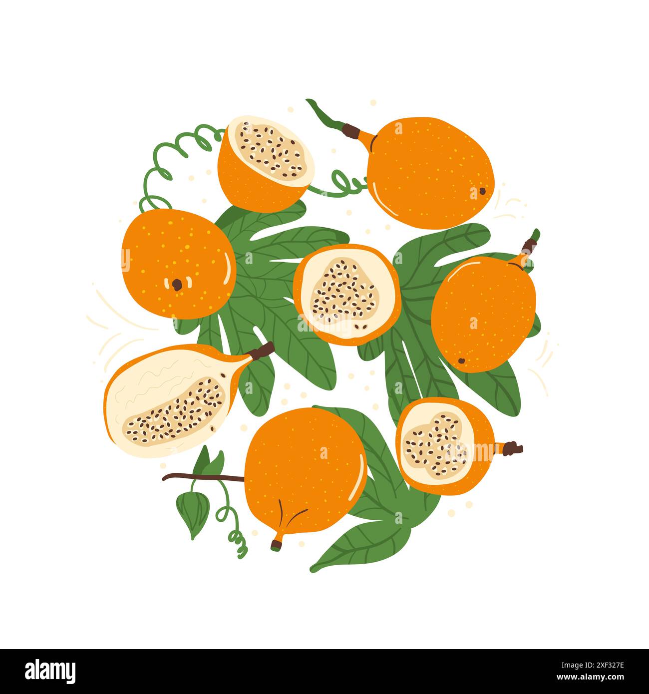 Sweet granadilla composition set. Tropical fruits clipart. Yellow ...