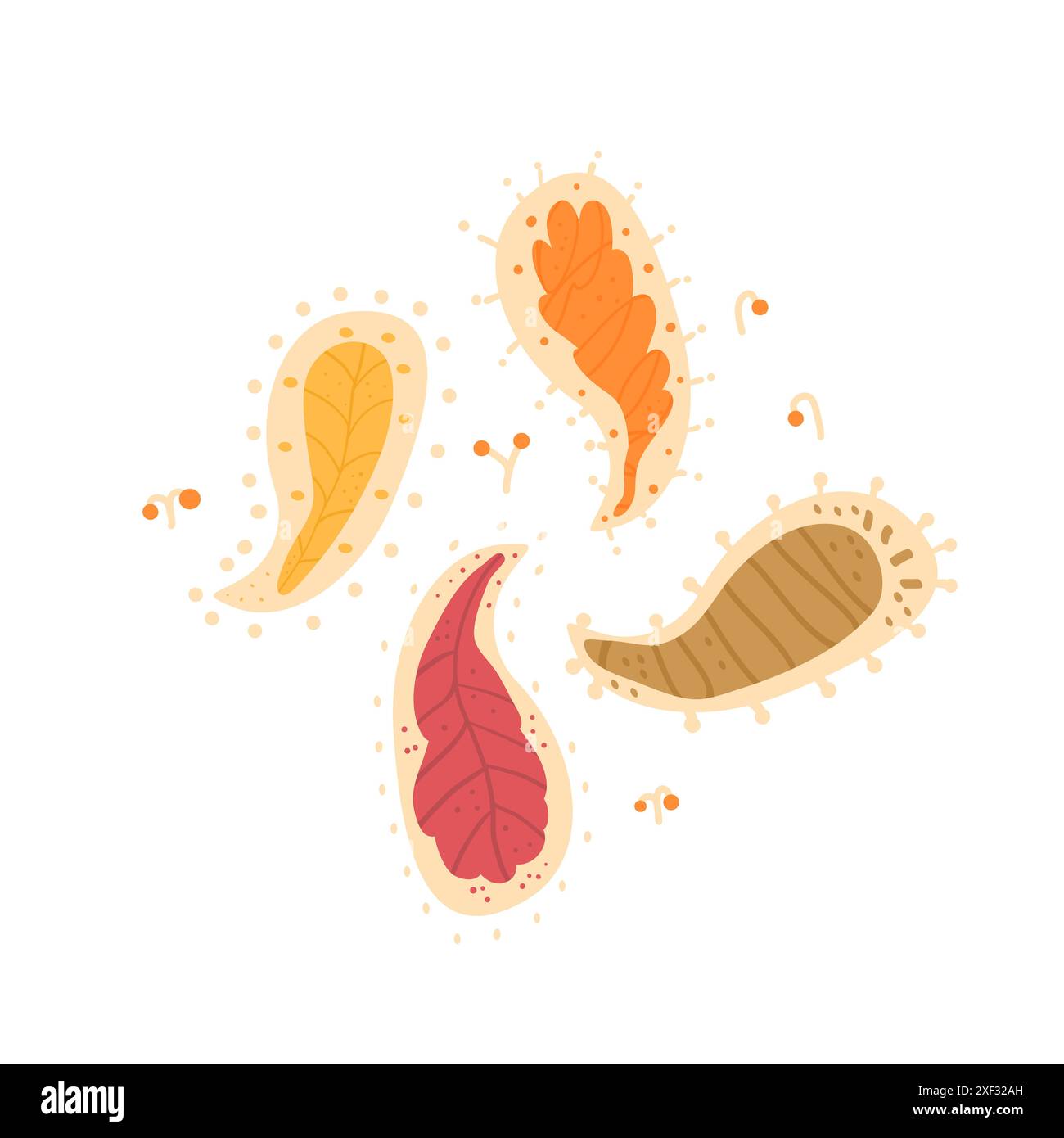 Stylized paisley shapes hi-res stock photography and images - Alamy