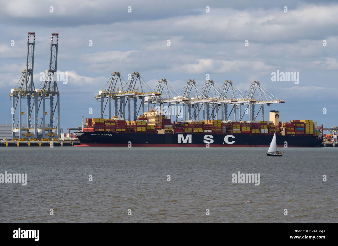 Colossal Containership MSC Calypso unloading her cargo at DP World ...
