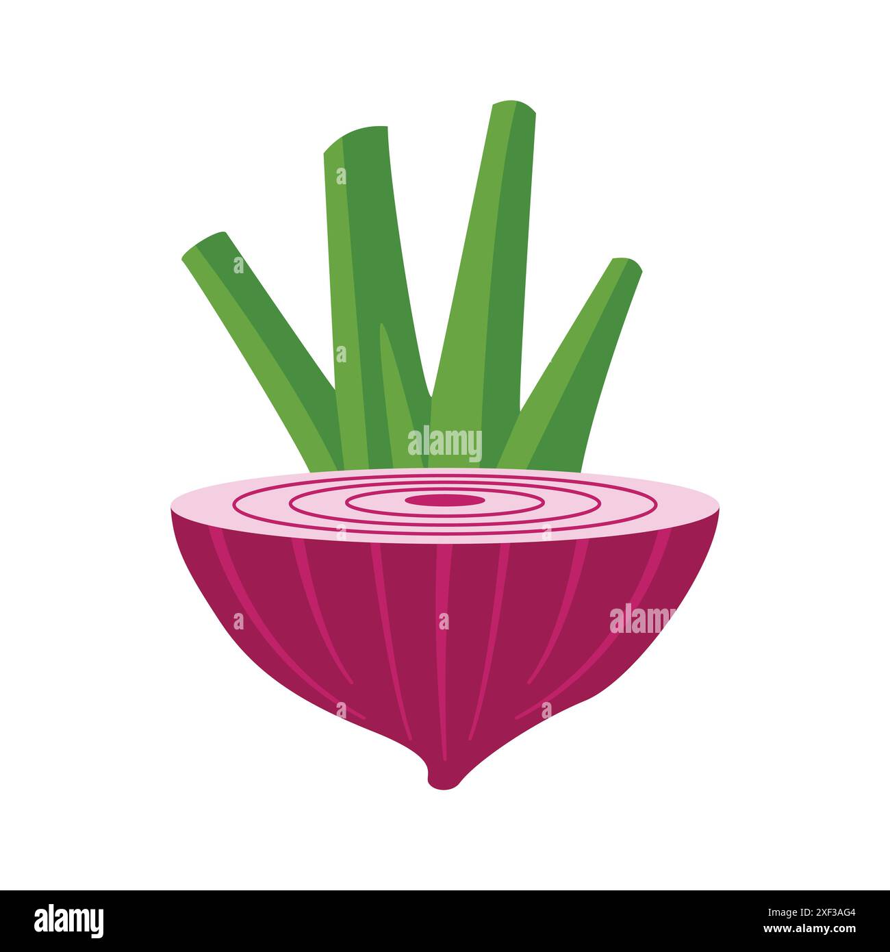 Vector Design of Sliced of Fresh Red Onion Food Vegetable with Leaf ...