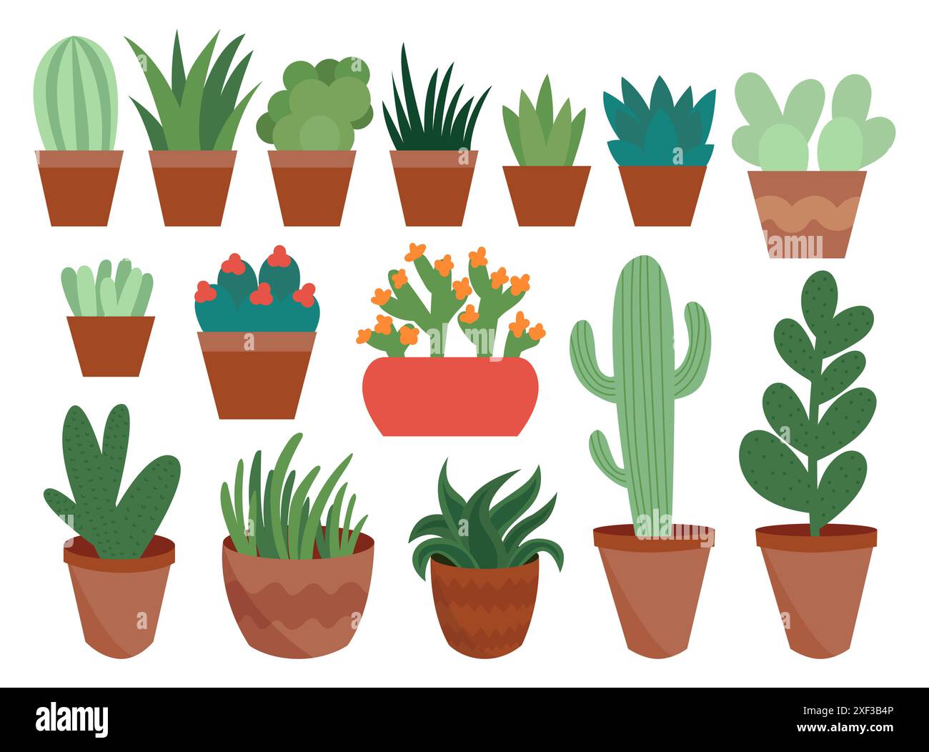 Big cactus plant tropical Stock Vector Images - Alamy