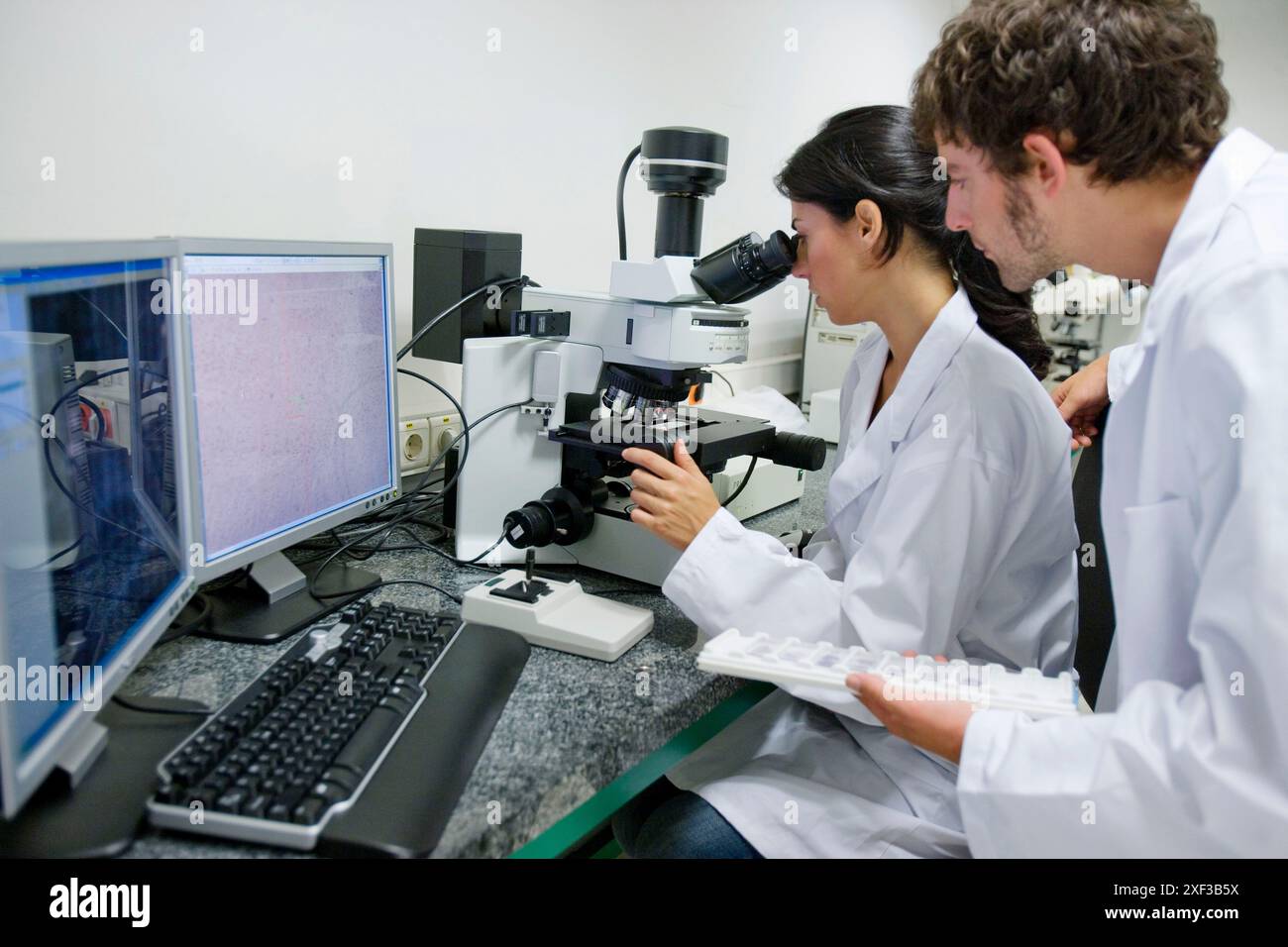 Female medical researchers working microscopes hi-res stock photography ...