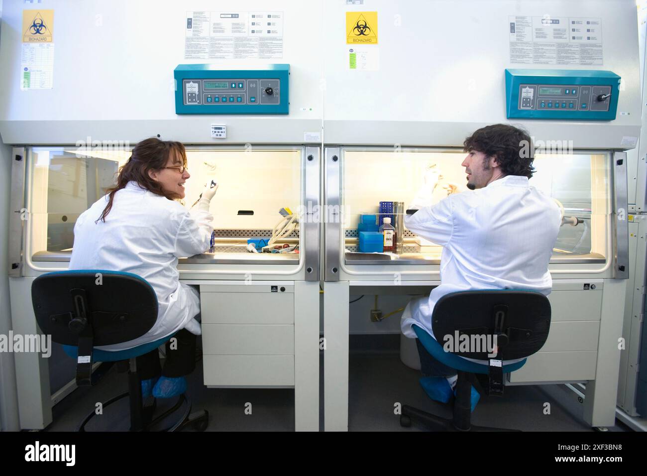 Purification of Leukocytes in laminar flow cabinet, culture room ...