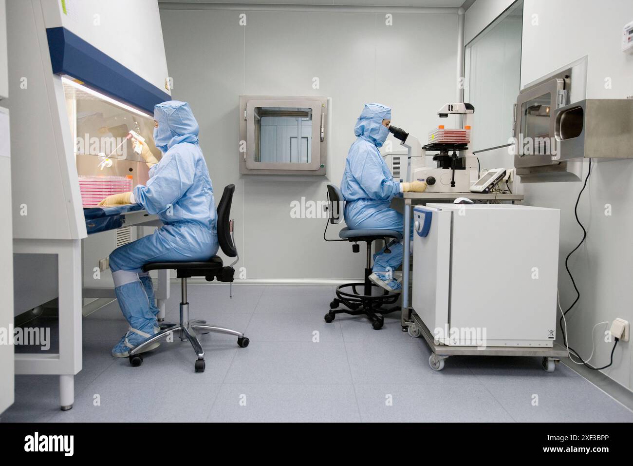 Clean room, preparing DMEM in laminar flow cabinet and culture ...