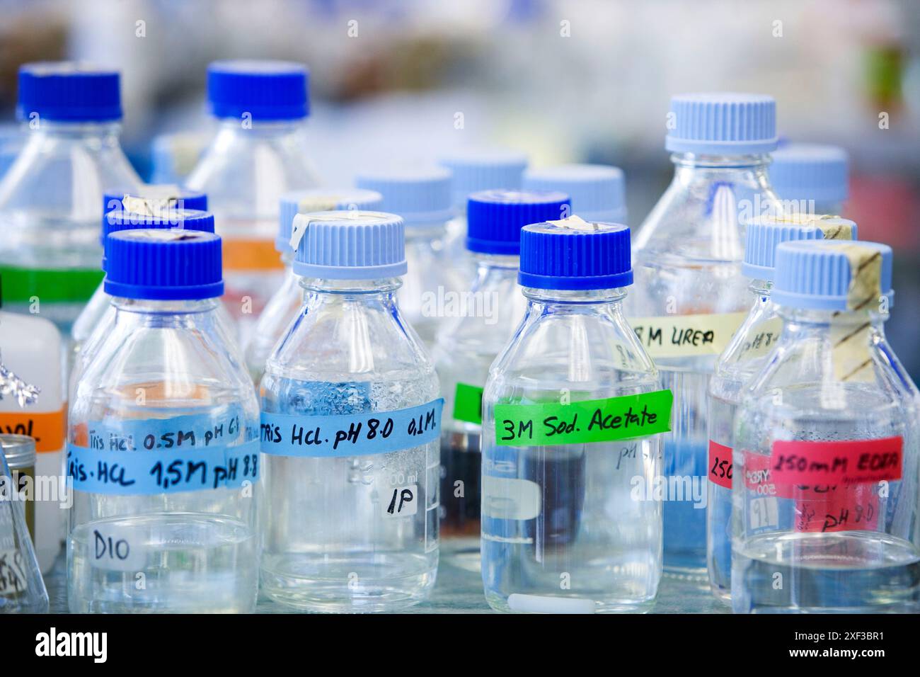 Biopharmaceutical lab, development of new therapeutic molecules based ...