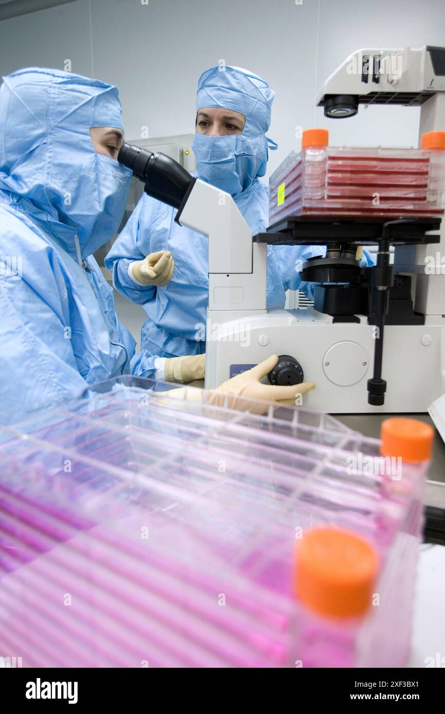 Clean room, culture observation through the microscope ...