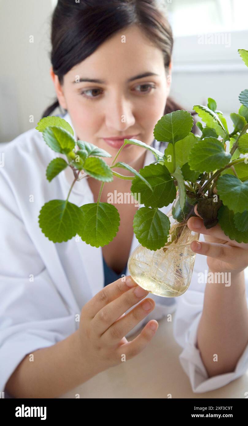 Inasmet-Tecnalia Foundation, Technology and Research Centre, San ...