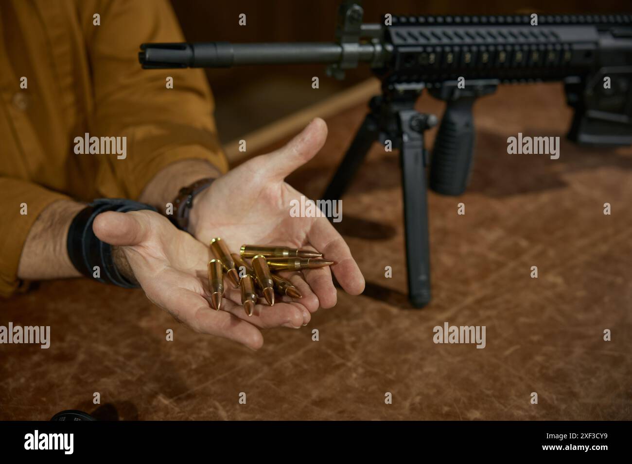 Firearm cartridges selection for assault rifle at weapon shop Stock ...
