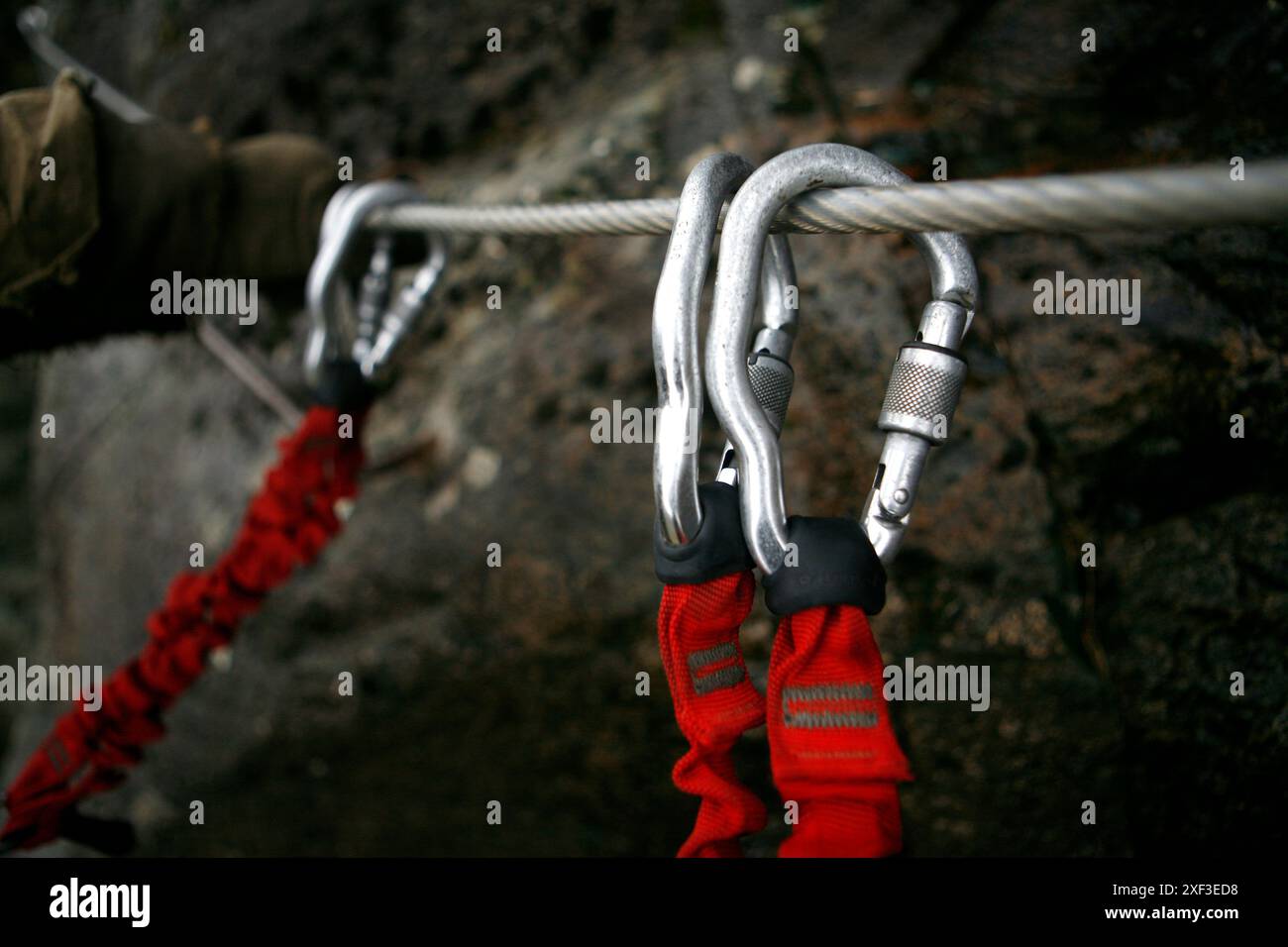 Carabiner clipped to a steel cable Stock Photo - Alamy