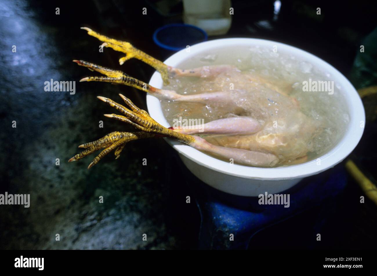 Dead chicken hi-res stock photography and images - Alamy